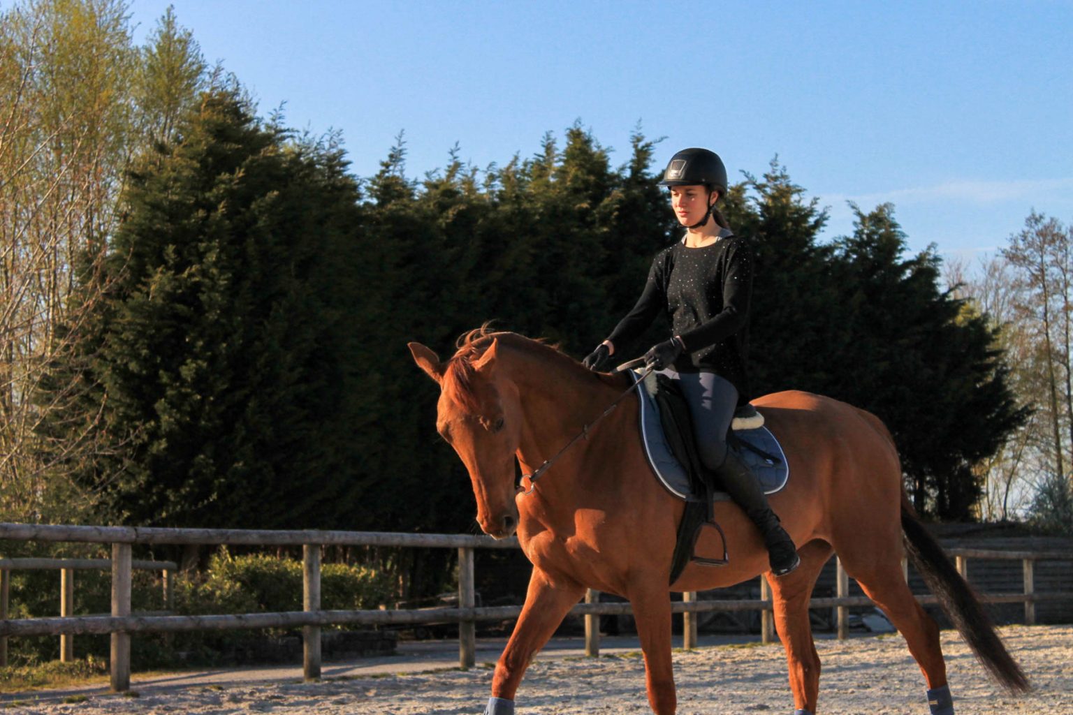 Elia équitation – Centre équestre – Poney club