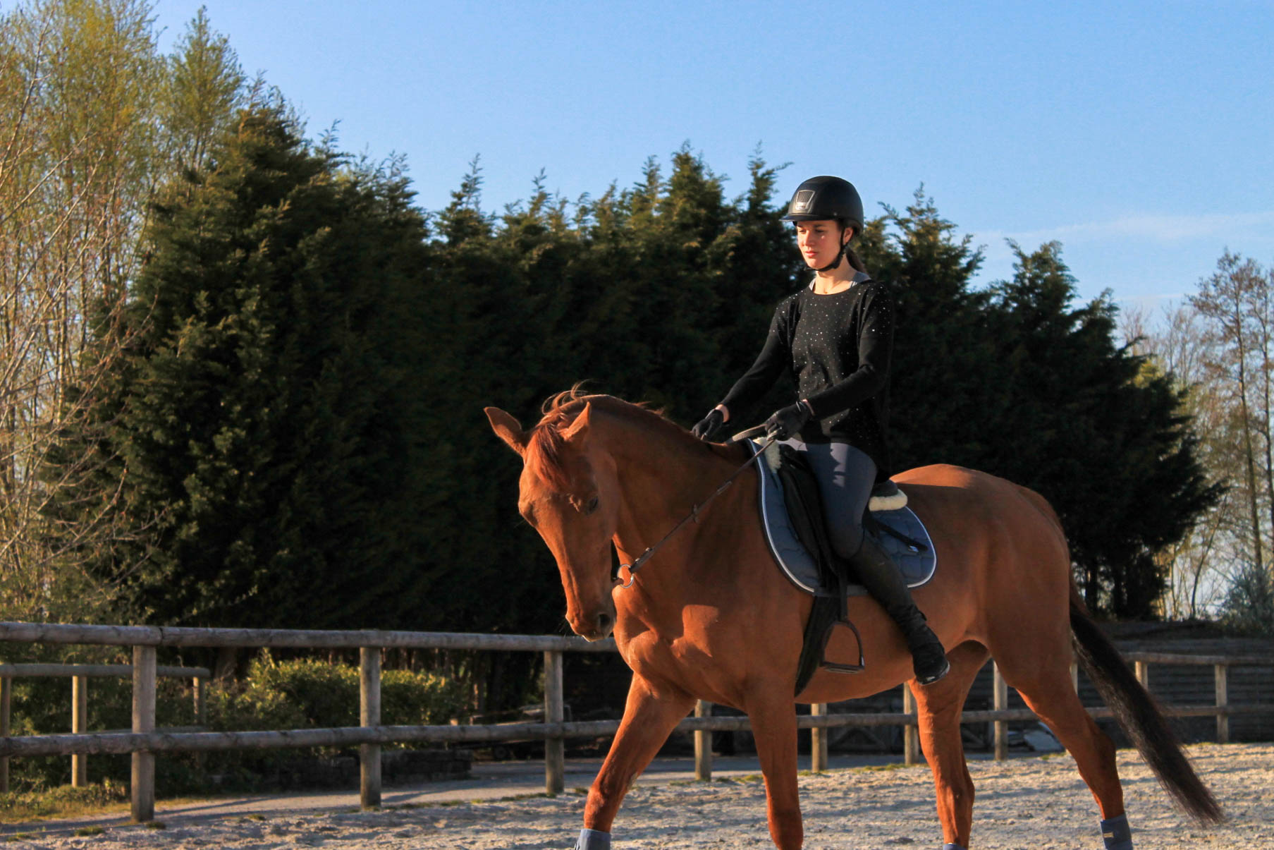 Elia équitation – Centre équestre – Poney club