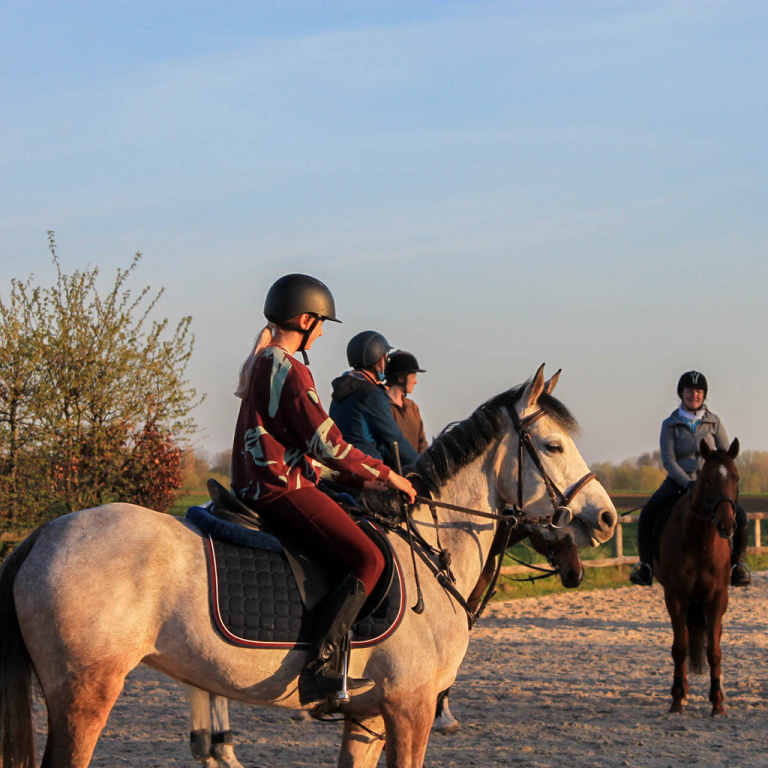 Enseignement – Elia équitation