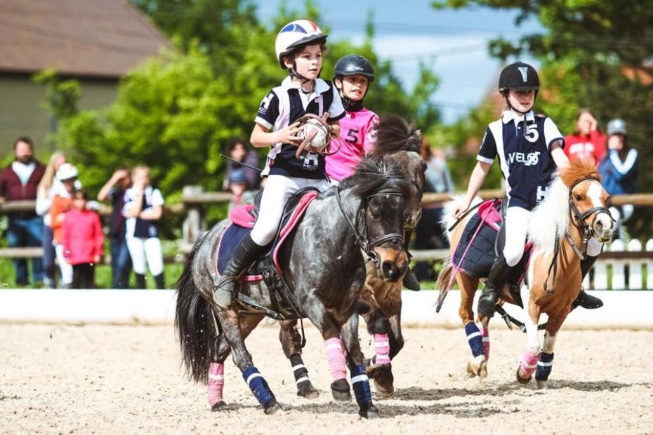 Elia équitation – Centre équestre – Poney club