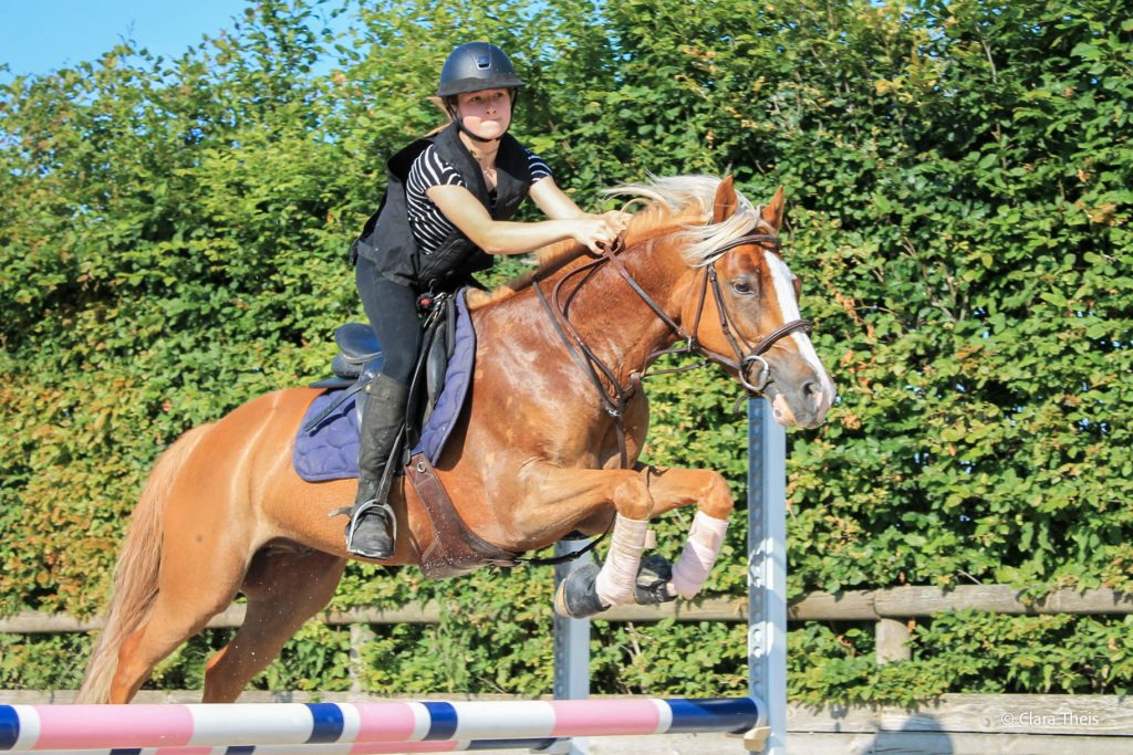 Elia équitation – Centre équestre – Poney club